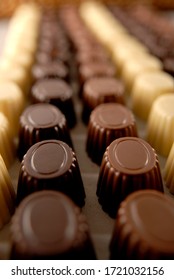 Presentation Belgian Chocolate Different Forms Stock Photo 1721032156 ...