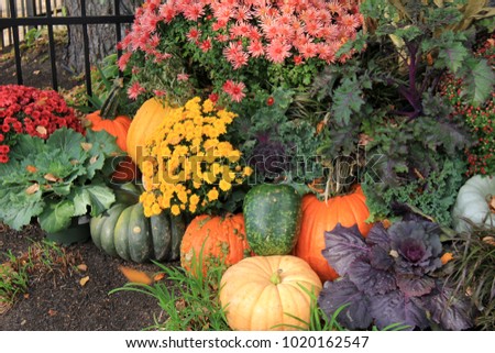 Pretty Fall Scene Several Pumpkins Gourds Stock Photo (Edit Now ...