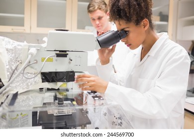 62,182 Student Microscope Images, Stock Photos & Vectors | Shutterstock