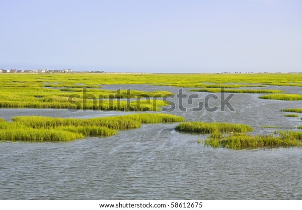 Pretty View Pristine Marshland Stock Photo 58612675 | Shutterstock