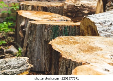 3,059 Problems forestry Images, Stock Photos & Vectors | Shutterstock