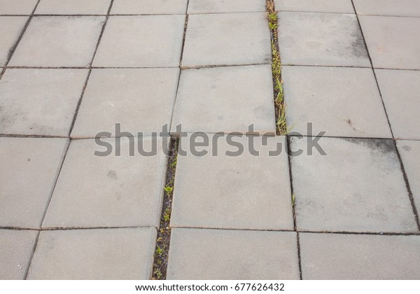 Problem Subsidence Concrete Block Pavement Stock Photo (Edit Now) 677626432