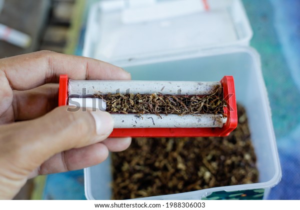 Process How Make Cigarettes Manually Stock Photo 1988306003 | Shutterstock