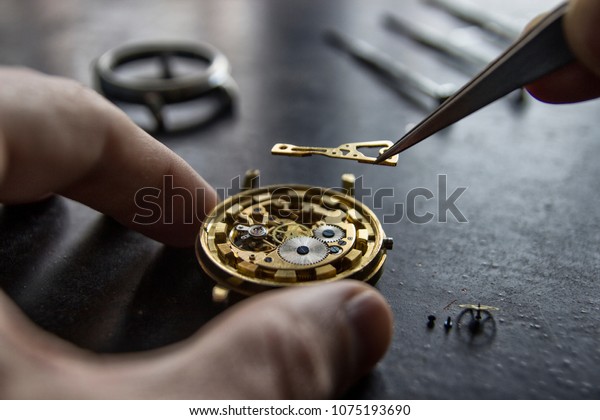 Process Installing Part On Mechanical Watch Stock Photo 1075193690 ...