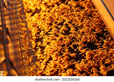 297 Oat manufacturing process Images, Stock Photos & Vectors | Shutterstock