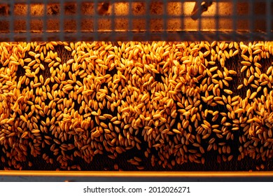 297 Oat manufacturing process Images, Stock Photos & Vectors | Shutterstock