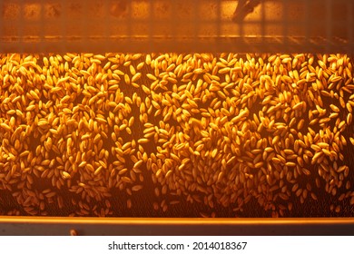 297 Oat manufacturing process Images, Stock Photos & Vectors | Shutterstock