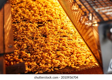 297 Oat manufacturing process Images, Stock Photos & Vectors | Shutterstock