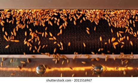 297 imágenes de Oat manufacturing process - Imágenes, fotos y vectores ...