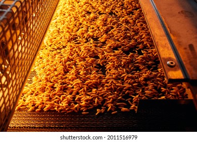 297 Oat manufacturing process Images, Stock Photos & Vectors | Shutterstock