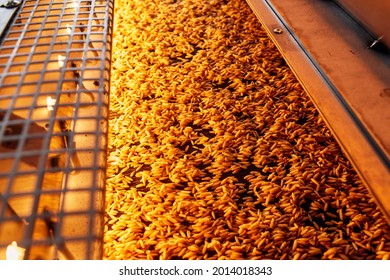297 Oat manufacturing process Images, Stock Photos & Vectors | Shutterstock