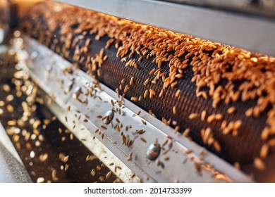 297 Oat manufacturing process Images, Stock Photos & Vectors | Shutterstock