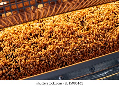 297 Oat manufacturing process Images, Stock Photos & Vectors | Shutterstock