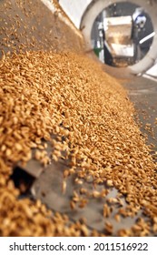 297 Oat manufacturing process Images, Stock Photos & Vectors | Shutterstock