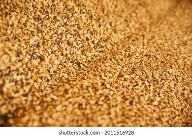 297 imágenes de Oat manufacturing process - Imágenes, fotos y vectores ...