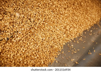 297 Oat manufacturing process Images, Stock Photos & Vectors | Shutterstock