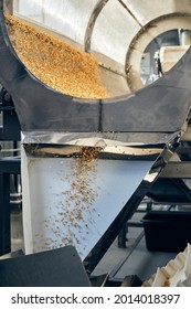 297 Oat manufacturing process Images, Stock Photos & Vectors | Shutterstock