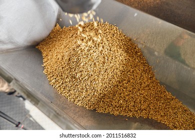 297 imágenes de Oat manufacturing process - Imágenes, fotos y vectores ...