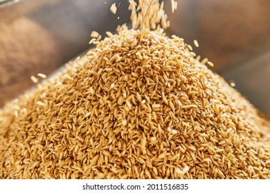 297 imágenes de Oat manufacturing process - Imágenes, fotos y vectores ...