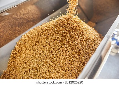 297 Oat manufacturing process Images, Stock Photos & Vectors | Shutterstock