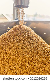 297 Oat manufacturing process Images, Stock Photos & Vectors | Shutterstock
