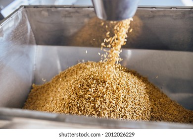 297 Oat manufacturing process Images, Stock Photos & Vectors | Shutterstock