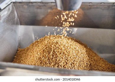 297 Oat manufacturing process Images, Stock Photos & Vectors | Shutterstock
