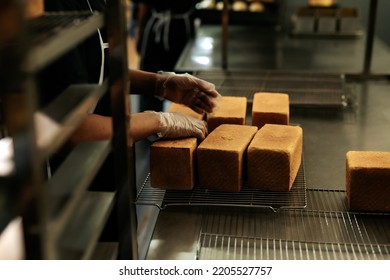 19,822 Making bread process Images, Stock Photos & Vectors | Shutterstock