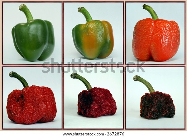 Process Pepper Fresh Decay Stock Photo (Edit Now) 2672876
