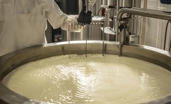 Cheese production factory, an Industrial Photo by REDDOT Studio