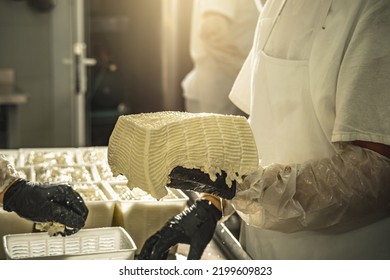 Process Producing Different Varieties Cheese Industry Stock Photo ...