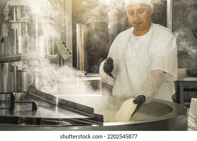 Process Producing Different Varieties Cheese Industry Stock Photo ...