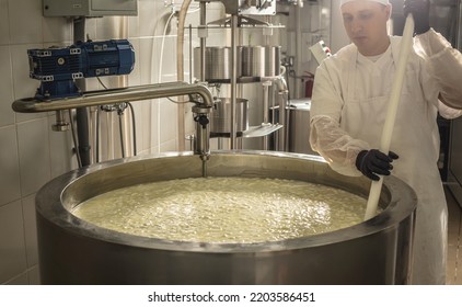 Process Producing Different Varieties Cheese Industry Stock Photo ...