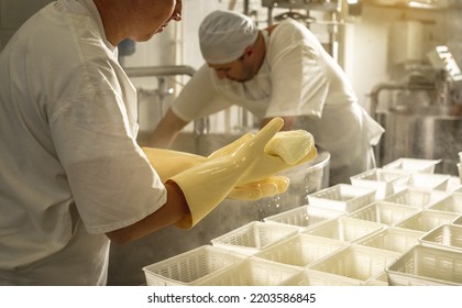Process Producing Different Varieties Cheese Industry Stock Photo ...