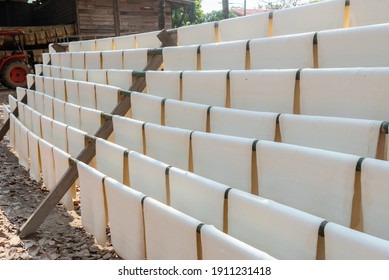 Process Producing Rubber Sheets Before Rubber Stock Photo 1911231418 ...