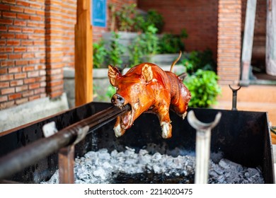 13,615 Guling Guling Images, Stock Photos & Vectors | Shutterstock