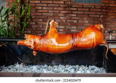 13,615 Guling Guling Images, Stock Photos & Vectors | Shutterstock