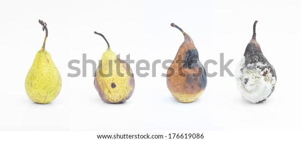 Process Rotting Pears Stock Photo 176619086 | Shutterstock