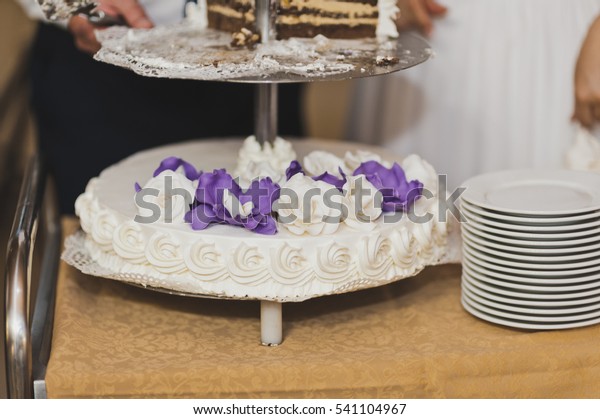 Process Separating Birthday Cake Guests Stock Photo (Edit Now) 541104967