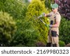 19+ Million Tree Planting Royalty-Free Images, Stock Photos & Pictures ...