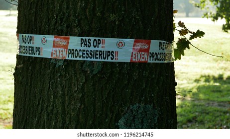 Processierups Images, Stock Photos & Vectors | Shutterstock