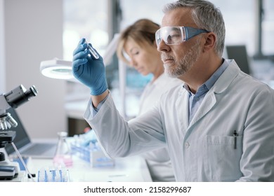 Professional Researcher Testing Sample Laboratory He Stock Photo ...