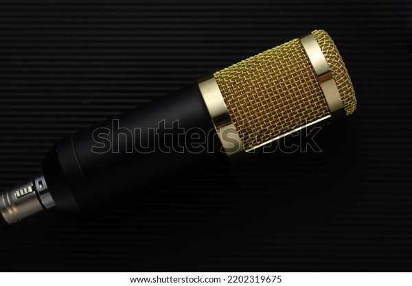 Professional Studio Condenser Microphone Space Type Stock Photo ...