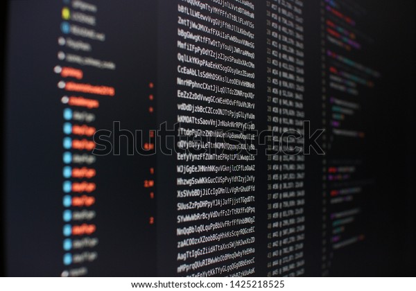 Programmers Text Editor Showing Ascii Data Stock Photo 1425218525 ...