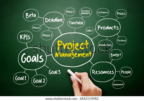 Project Management Mind Map Flowchart Business Stock Photo 1842114982