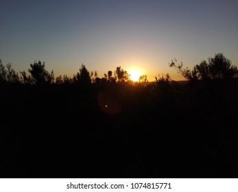 201 Protea Sunset Images, Stock Photos & Vectors | Shutterstock