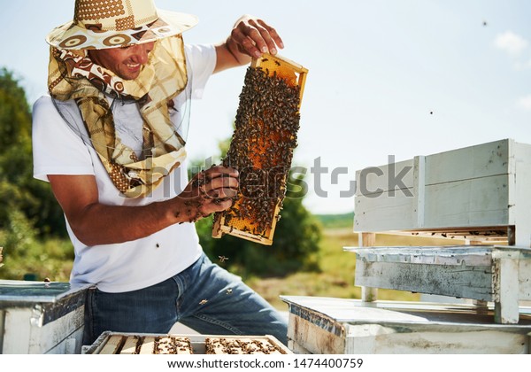 Protective Mask Beekeeper Works Honeycomb Full Stock Photo (Edit Now ... Protective Mask Beekeeper Works Honeycomb Full Stock Photo (Edit Now ...
