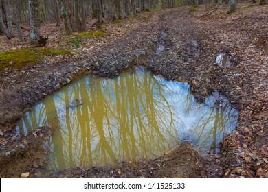 33,491 Puddle forest Stock Photos, Images & Photography | Shutterstock
