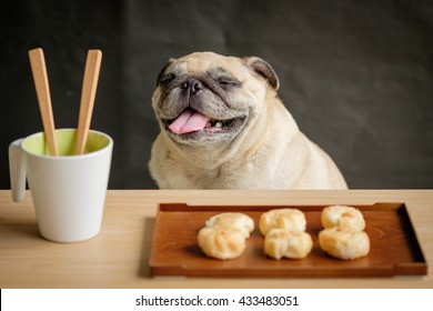 8,547 Dog Waiting Food Images, Stock Photos & Vectors | Shutterstock