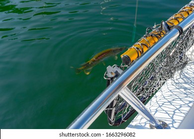 171 Catch The Handrail Images, Stock Photos & Vectors | Shutterstock